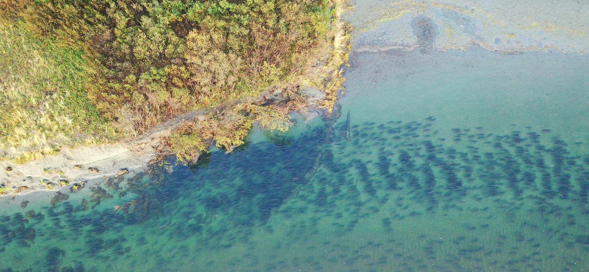 TSIU River Lodge - Alaska Expedition Hunting